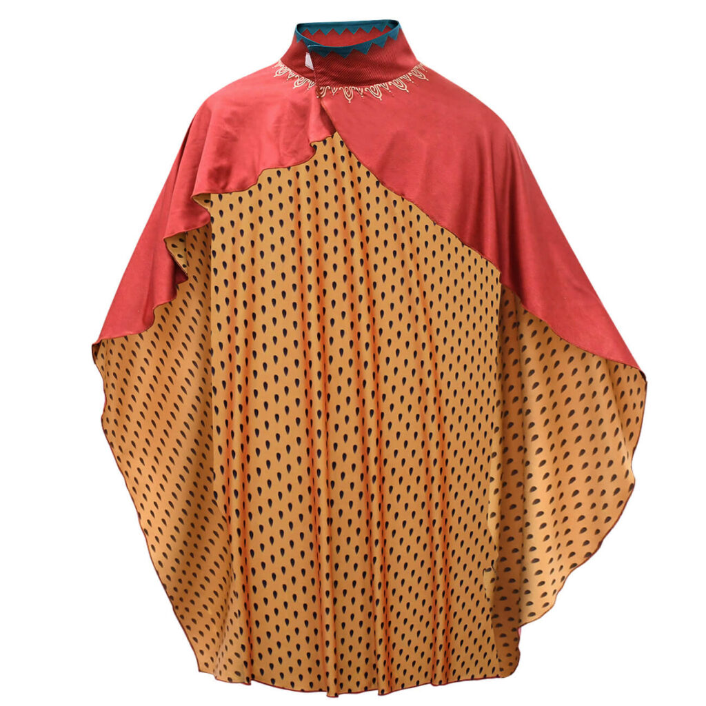 Raya and The Last Dragon Costume 2021 New Dragon Princess Cosplay ...