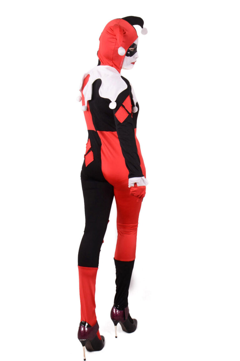 Harley Quinn Jester Outfit Costume – NalaGila
