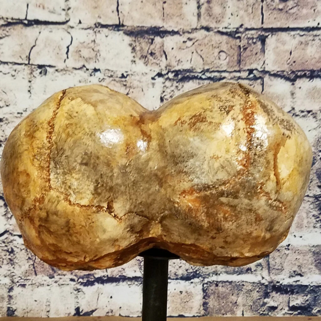 Conjoined Twins Human Skull Sculpture or Planter – NalaGila