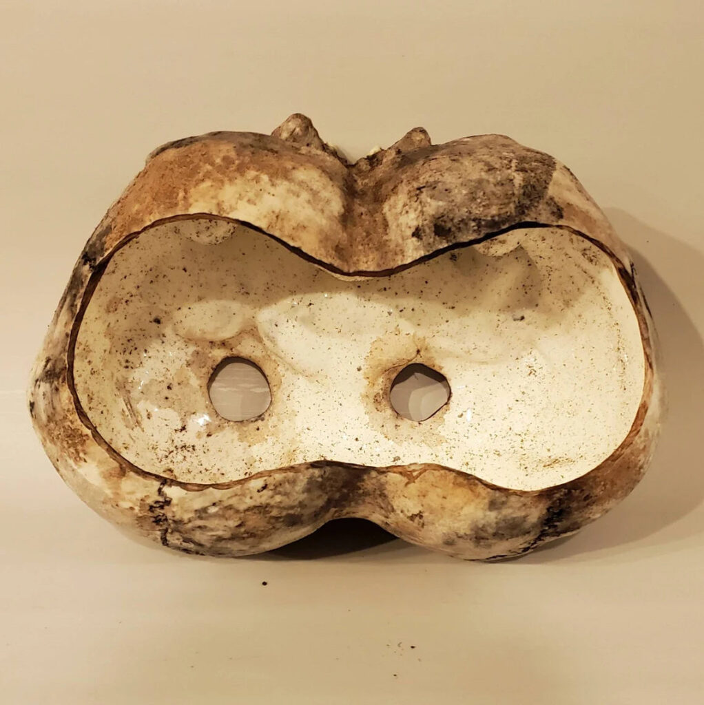 Conjoined Twins Human Skull Sculpture or Planter – NalaGila